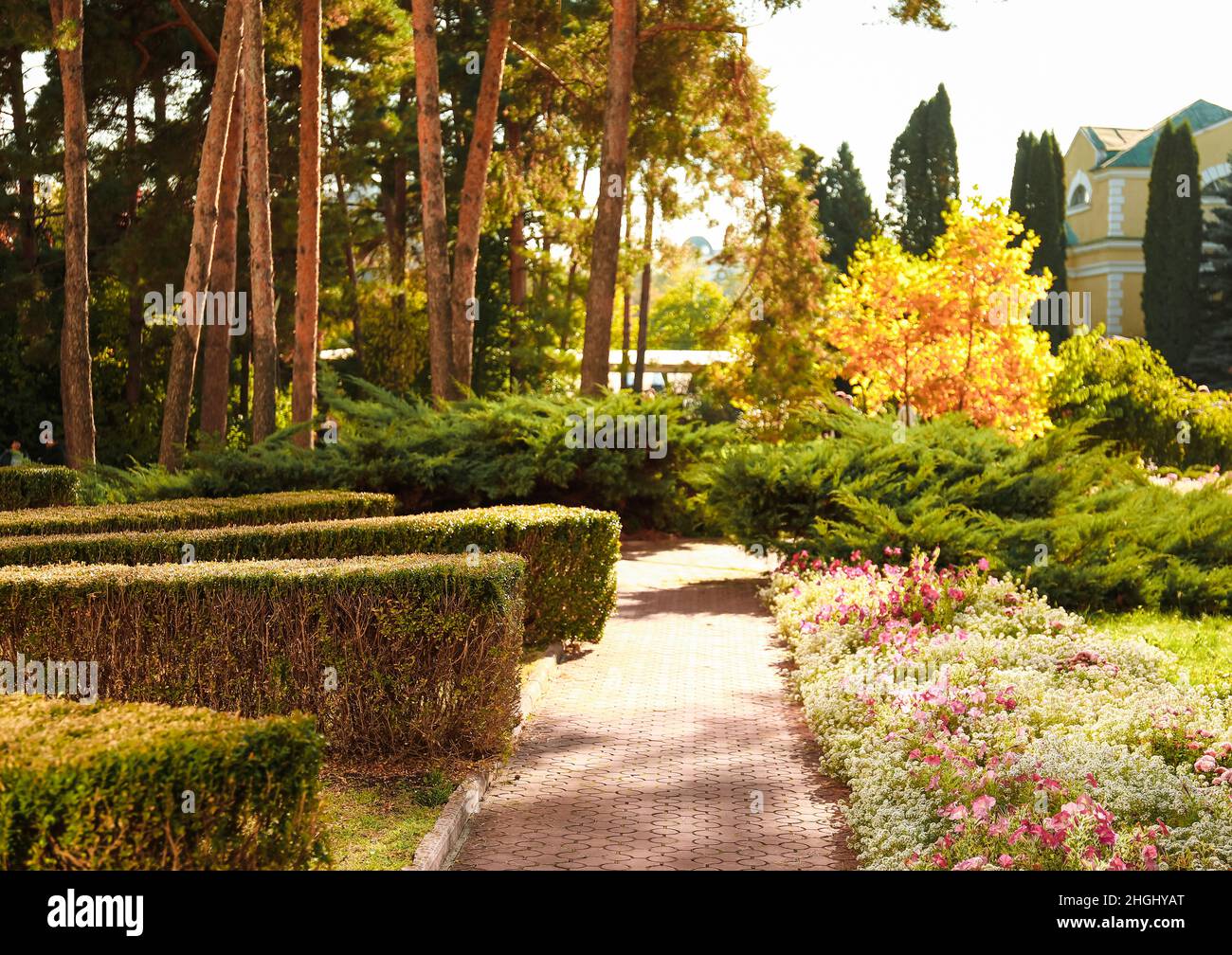 View of beautiful autumn park with pathway Stock Photo - Alamy
