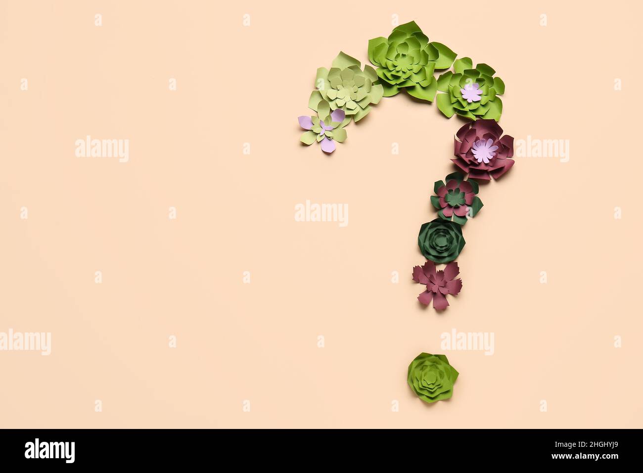 Question mark made of paper flowers on color background Stock Photo - Alamy