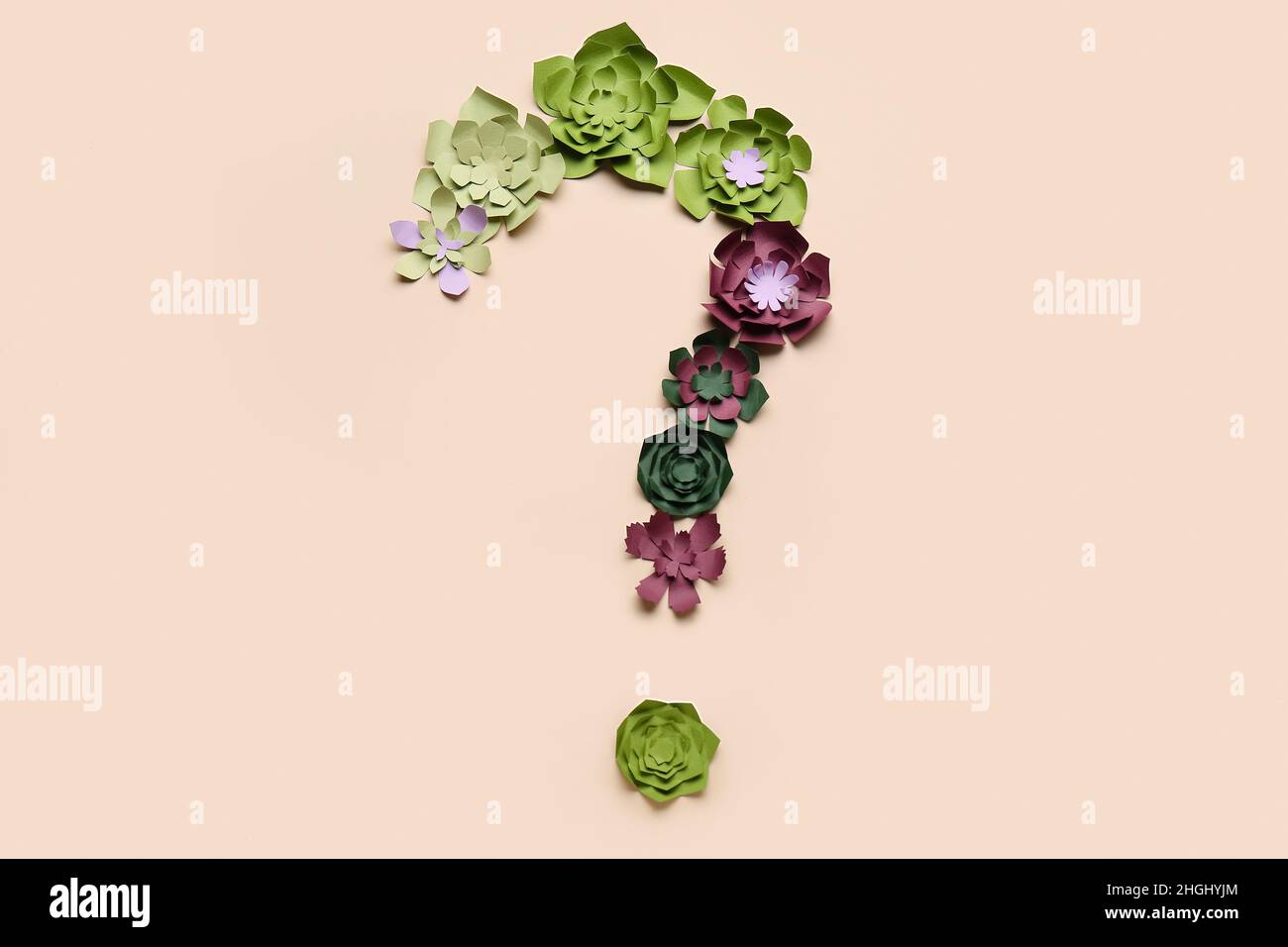 Question mark made of paper flowers on color background Stock Photo - Alamy