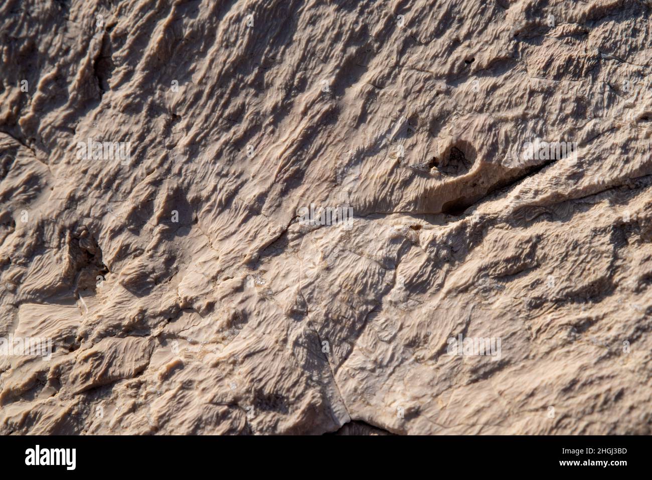 very rough limestone surface as texture or background Stock Photo - Alamy