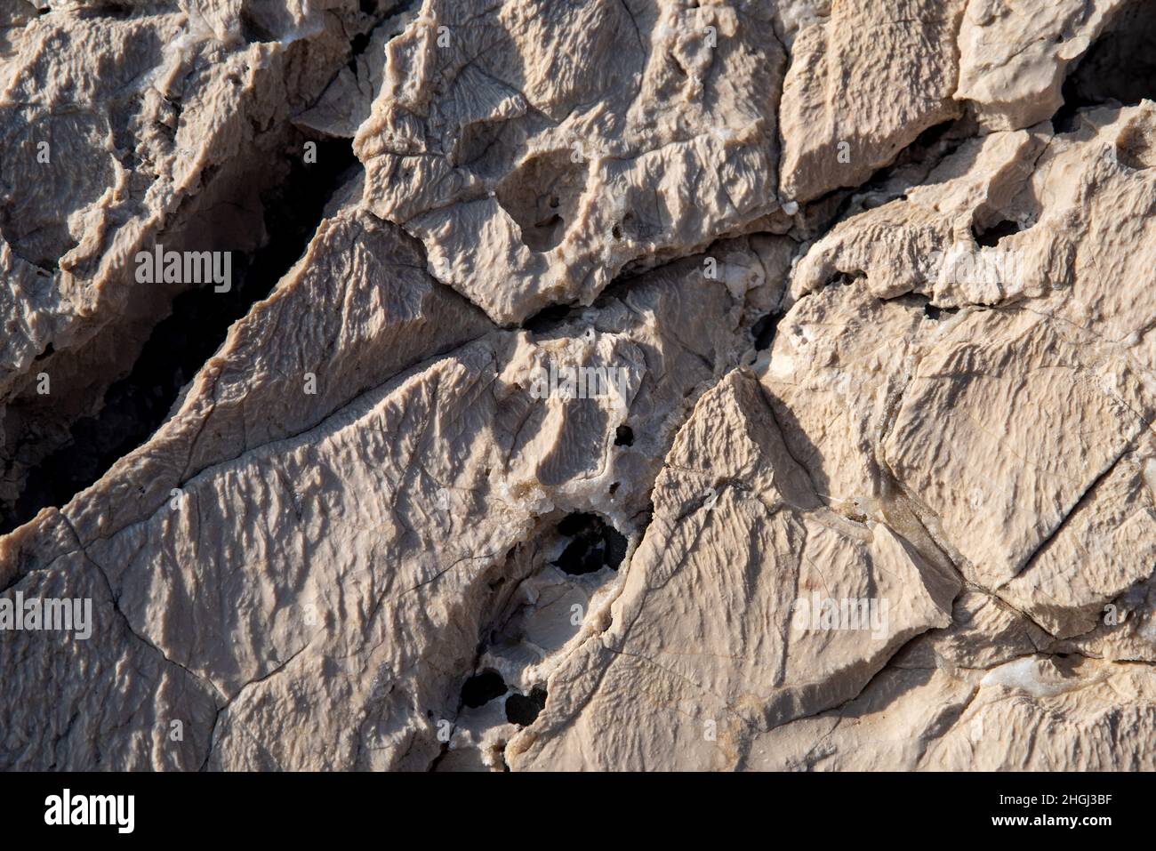very rough limestone surface as texture or background Stock Photo - Alamy