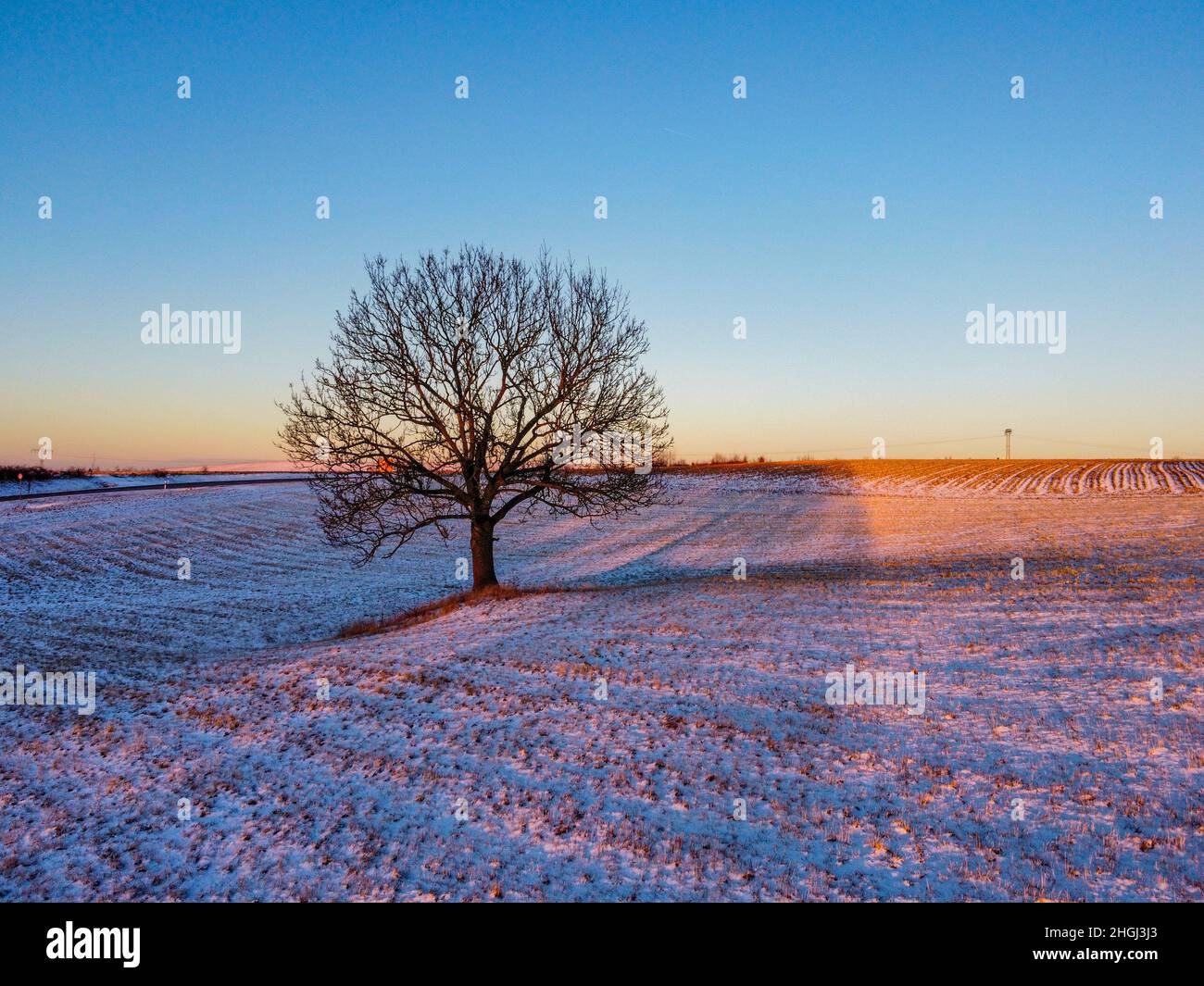 winter landscape with trees and snow Stock Photo - Alamy