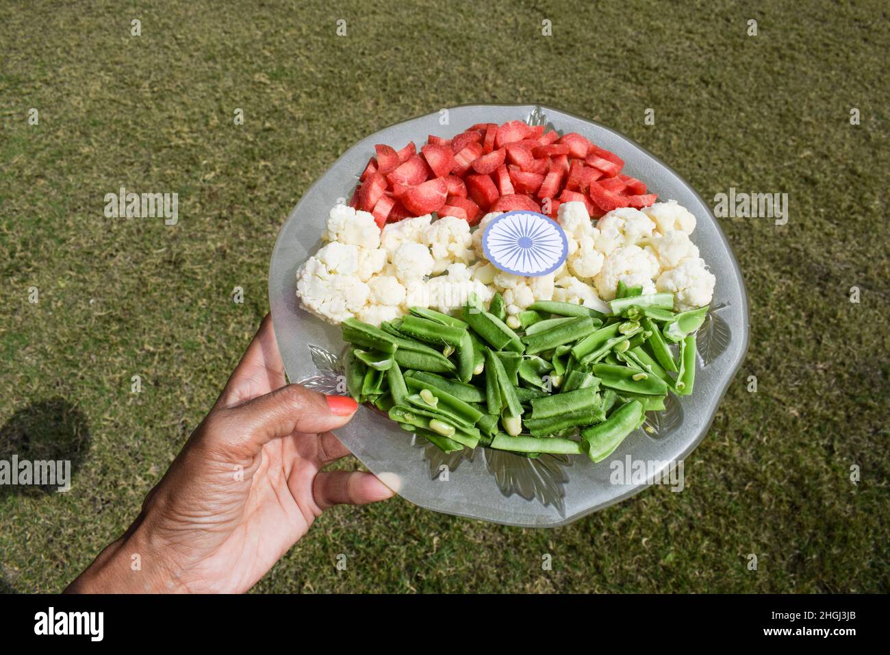 India Independence Day 15 August concept: Indian National Flag ...