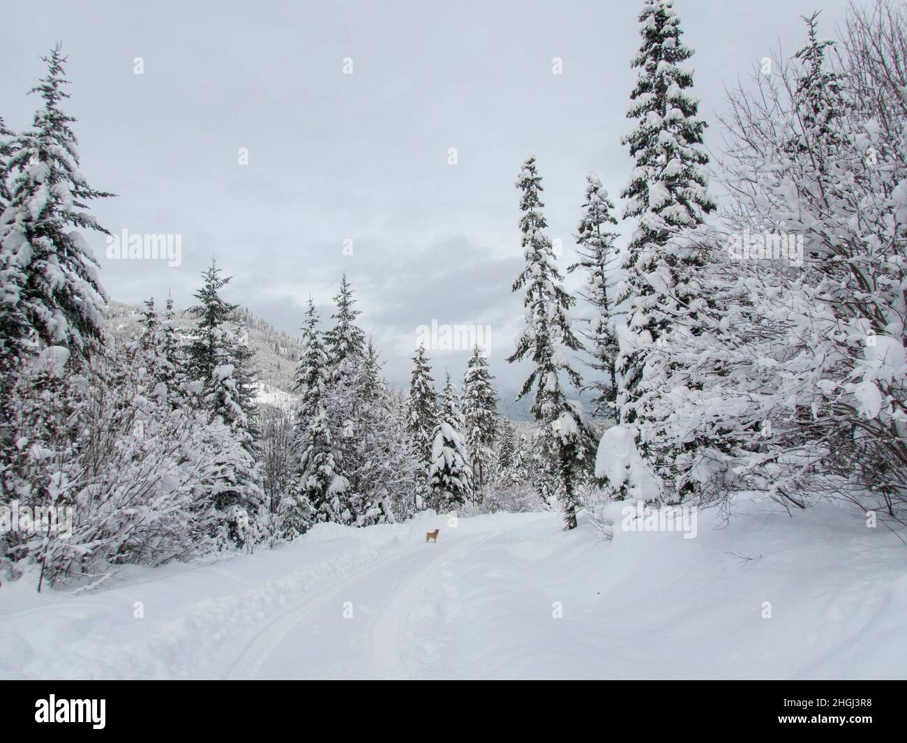Highway 207 hi-res stock photography and images - Alamy