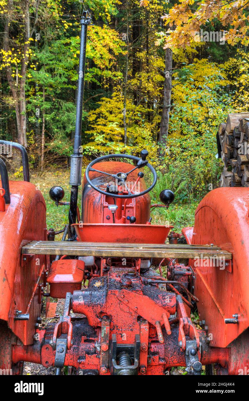 A bright red tractor stands in front of the colorful autumn forest ...