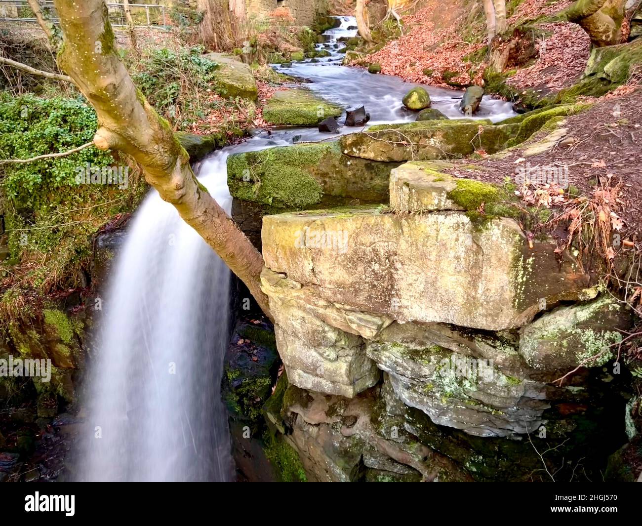 waterfall in woodland Stock Photo - Alamy