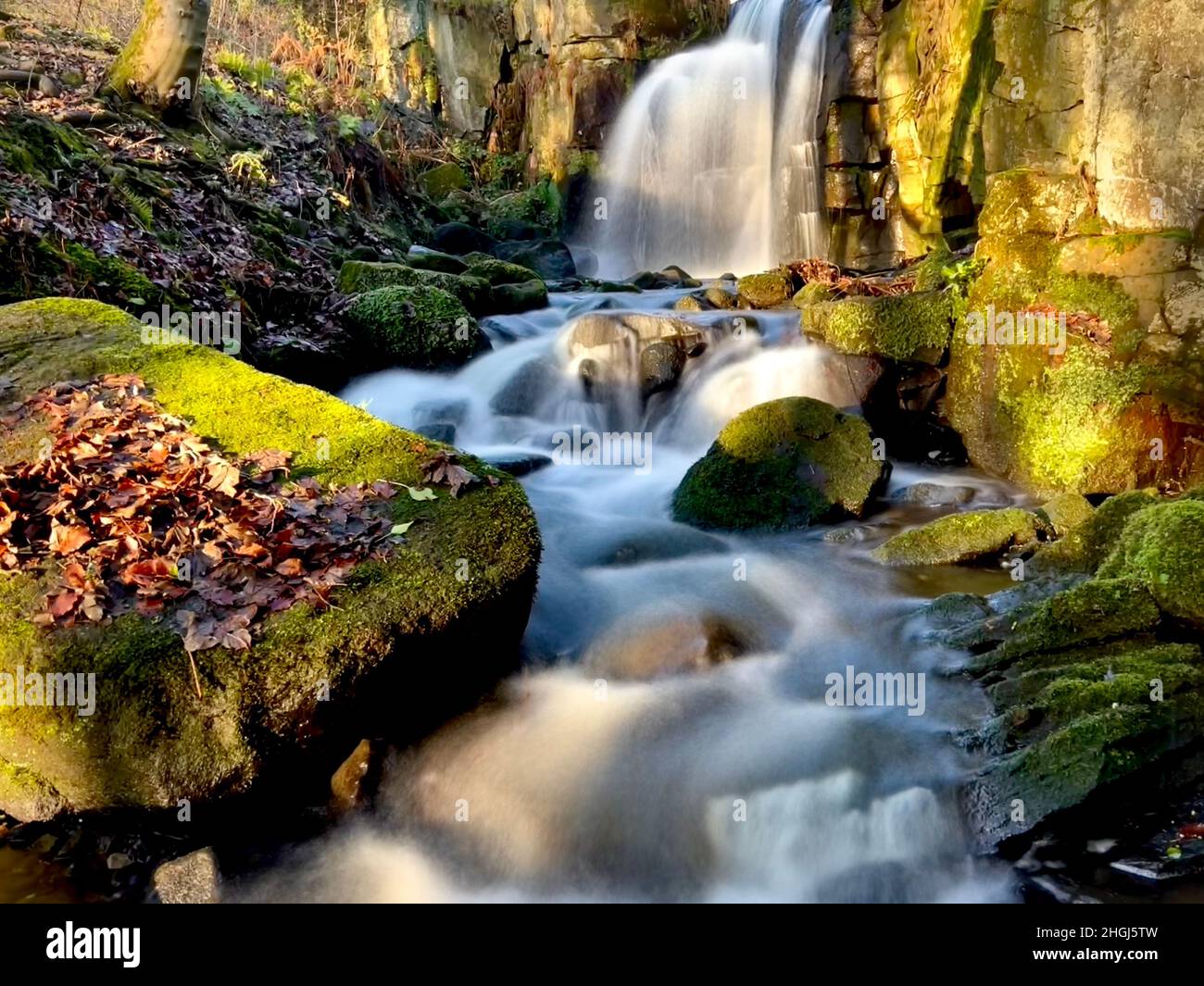 waterfall in woodland Stock Photo - Alamy