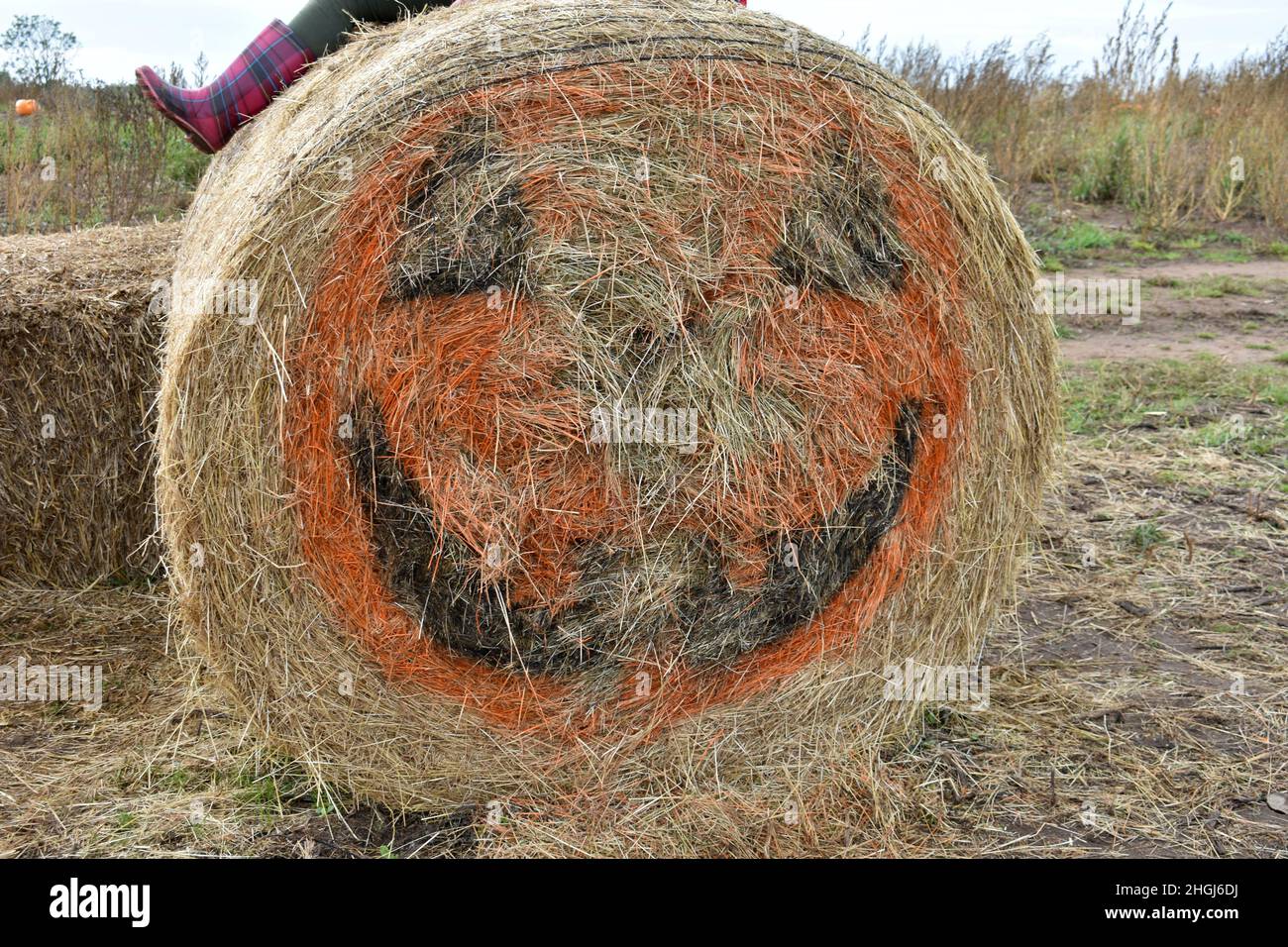 close up of a round bale of straw with a smiley pumpkin face painted on ...
