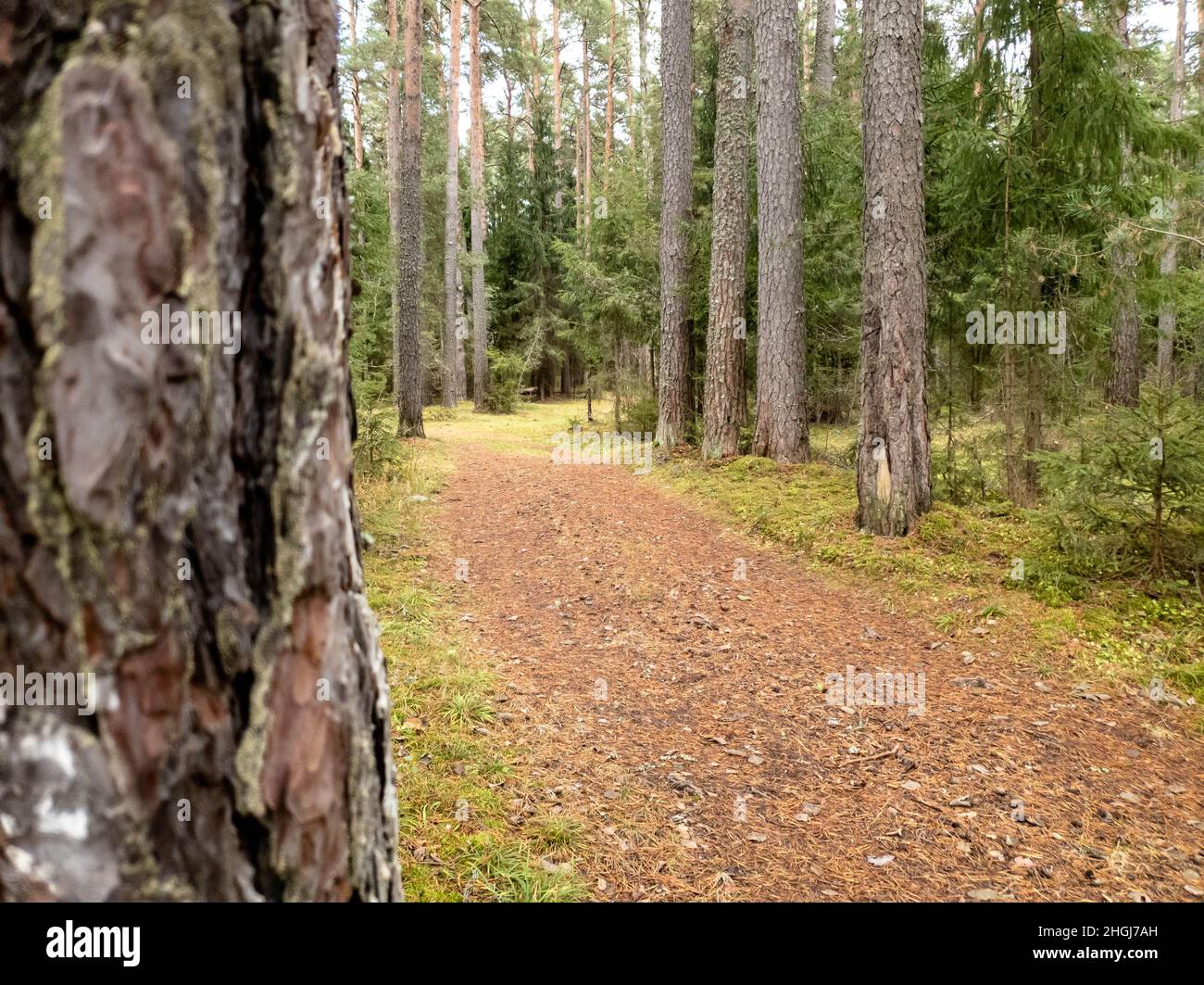 Dangerous paths hi-res stock photography and images - Alamy
