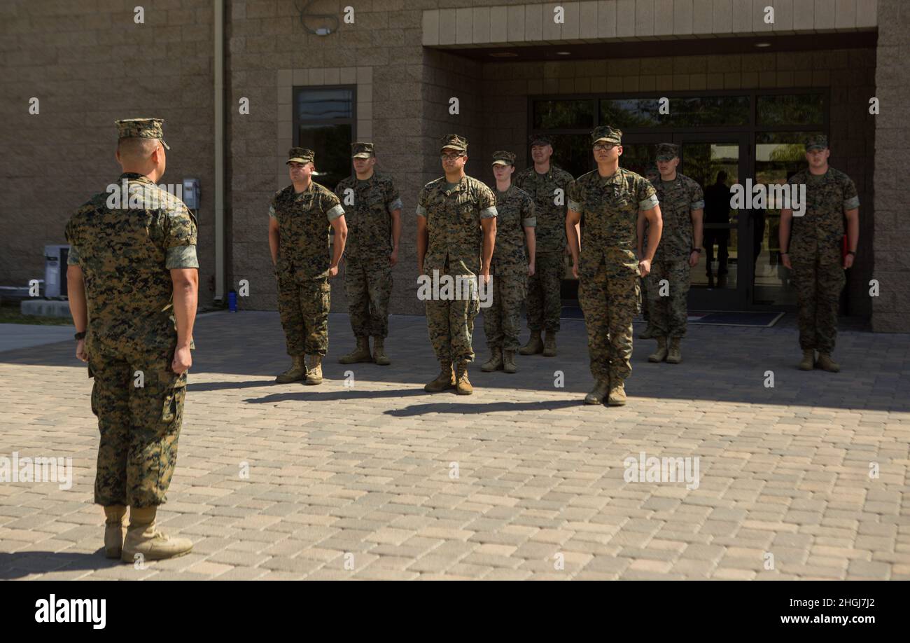 U.S. Marines stand in formation for Sgt. Kylie Dobson's, an ...