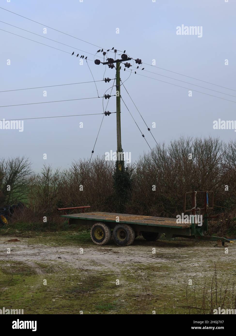 A Electric Distribution Poles with 3 electricity wires. Birds perched ...