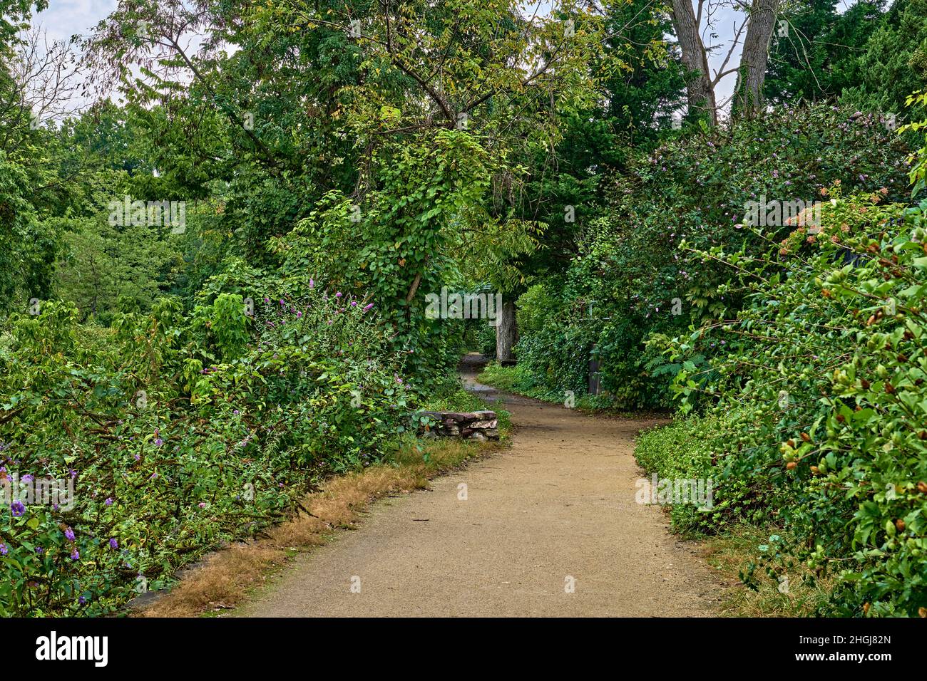 Canal path with a green tree canopy, along the Delaware River Canal ...