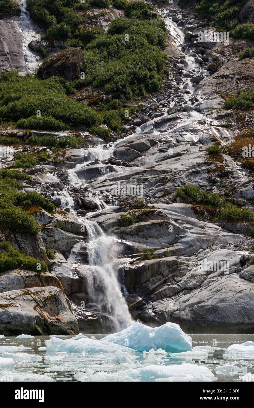 Riparian Rainforest High Resolution Stock Photography and Images - Alamy