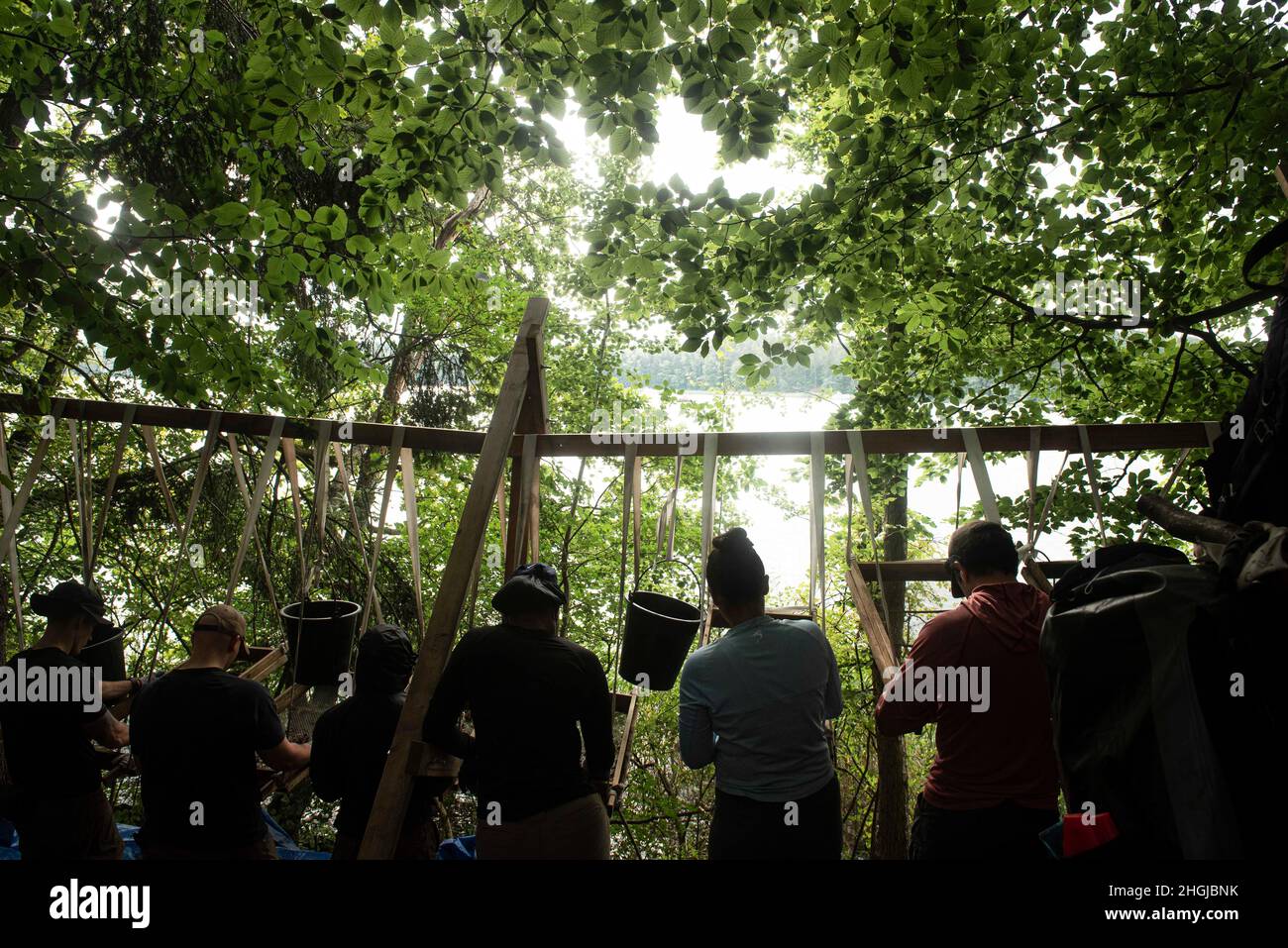 Defense POW/MIA Accounting Agency (DPAA) team members sift through dirt ...