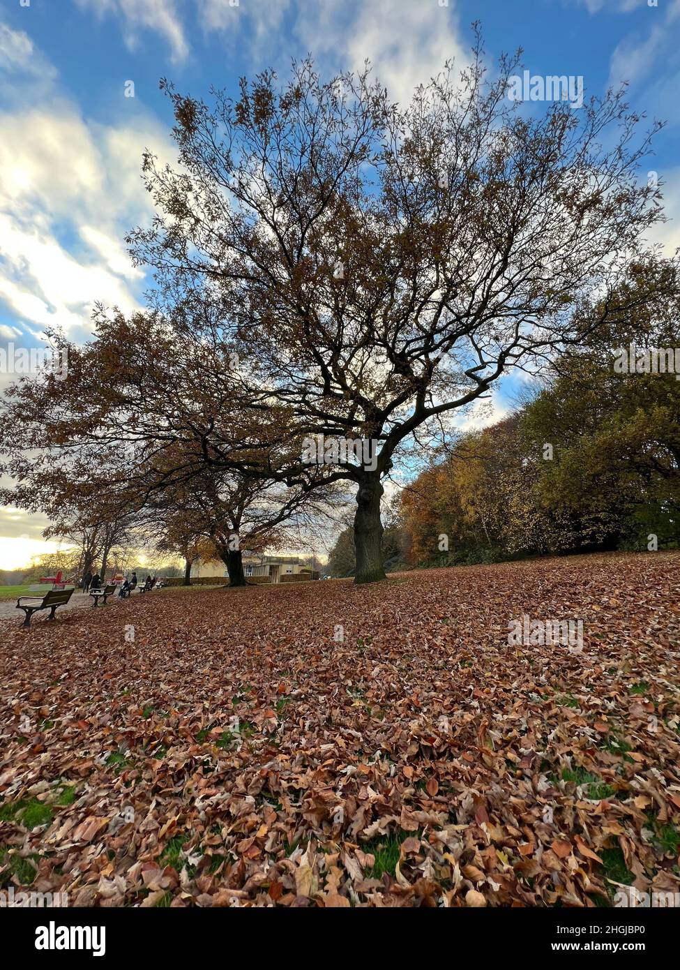 Red moss manchester hi-res stock photography and images - Alamy