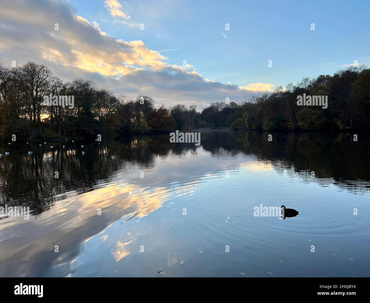 Autumn in a Manchester Park Stock Photo - Alamy