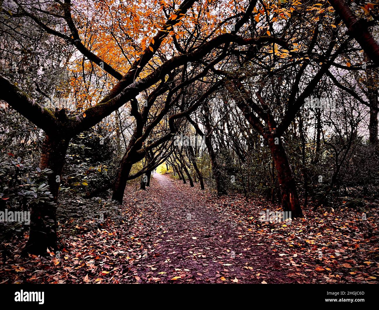 Moss park manchester hi-res stock photography and images - Alamy