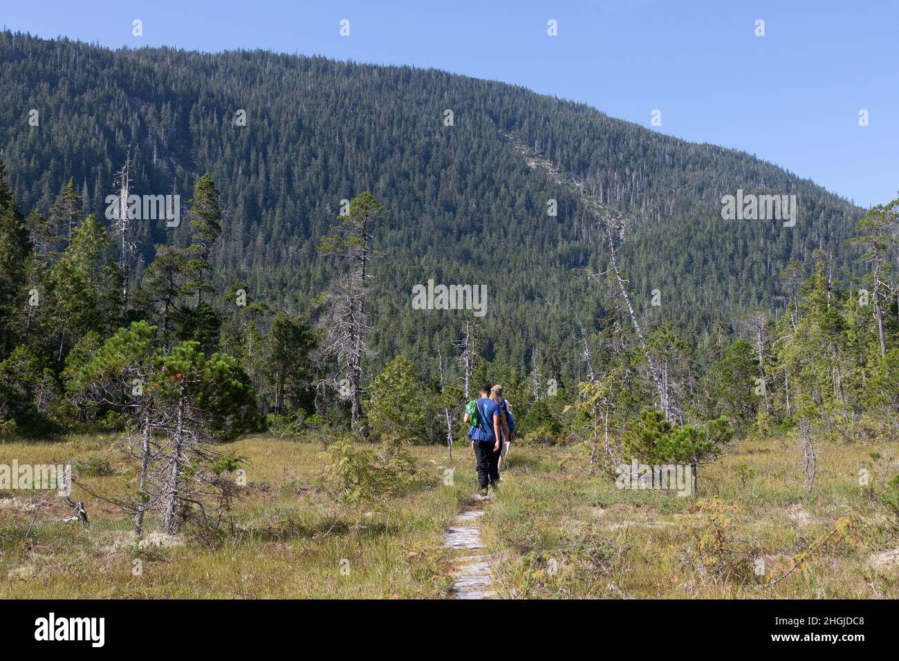 In temperate and subtropical areas hi-res stock photography and images ...