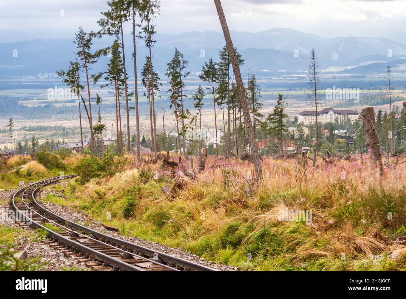 Forest calamity in the High Tatras National Park, Slovakia, Europe ...