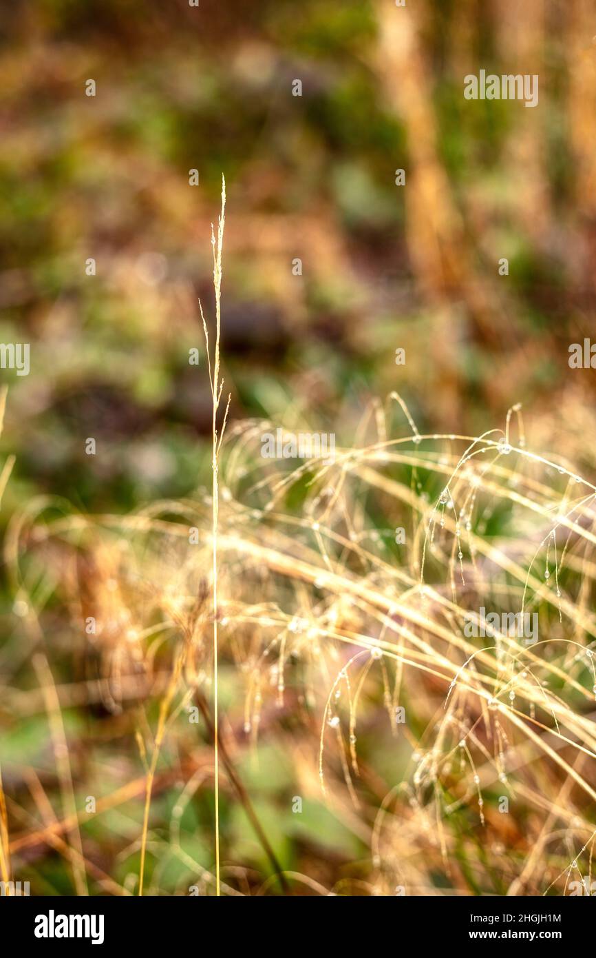 Choas, abstract patterns and textures in nature and the environment ...