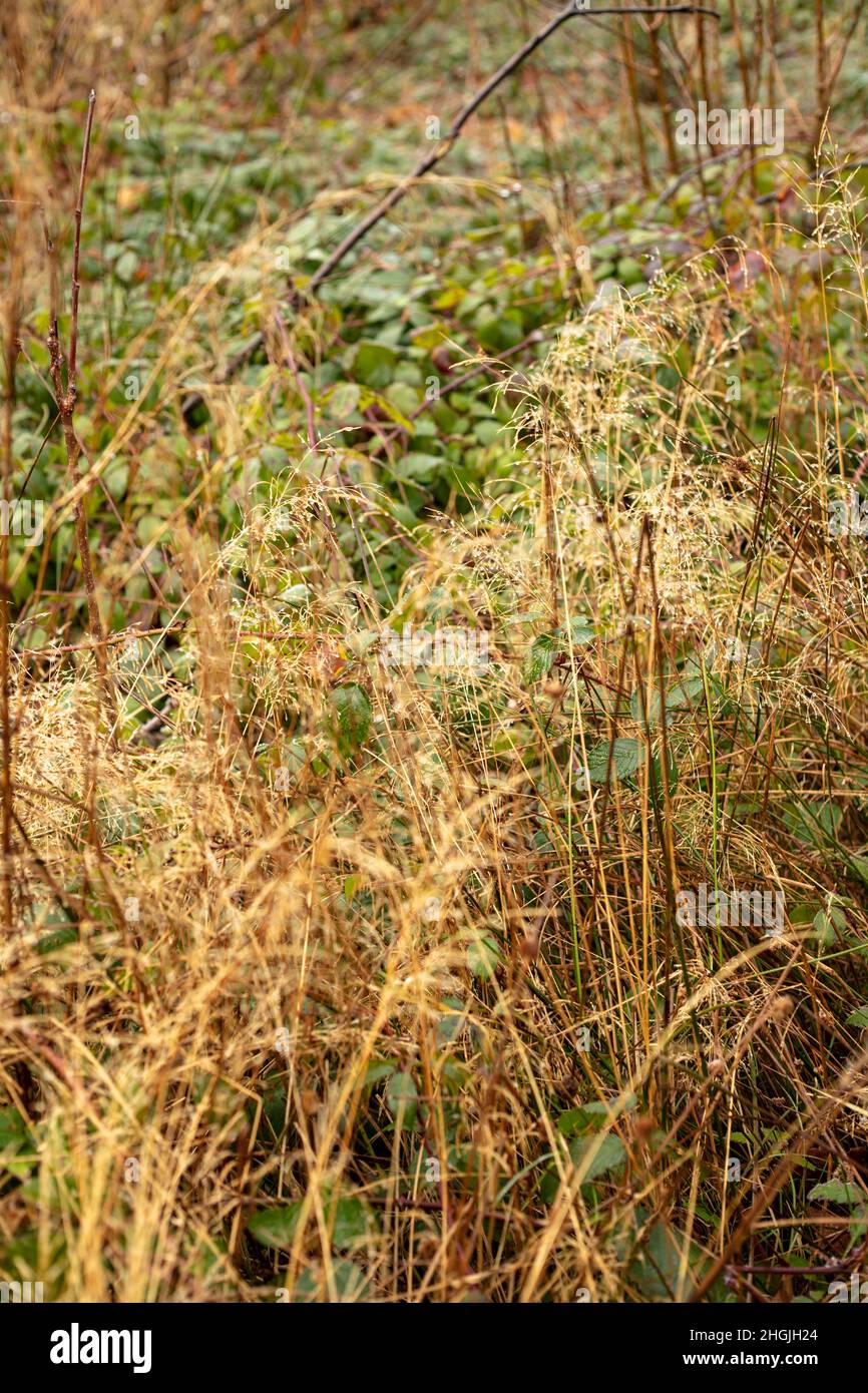 Choas, abstract patterns and textures in nature and the environment ...