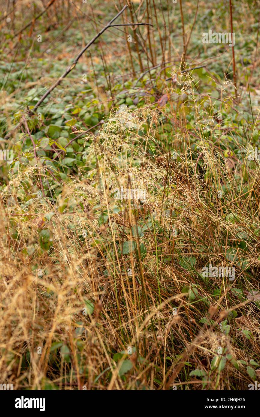 Choas, abstract patterns and textures in nature and the environment ...