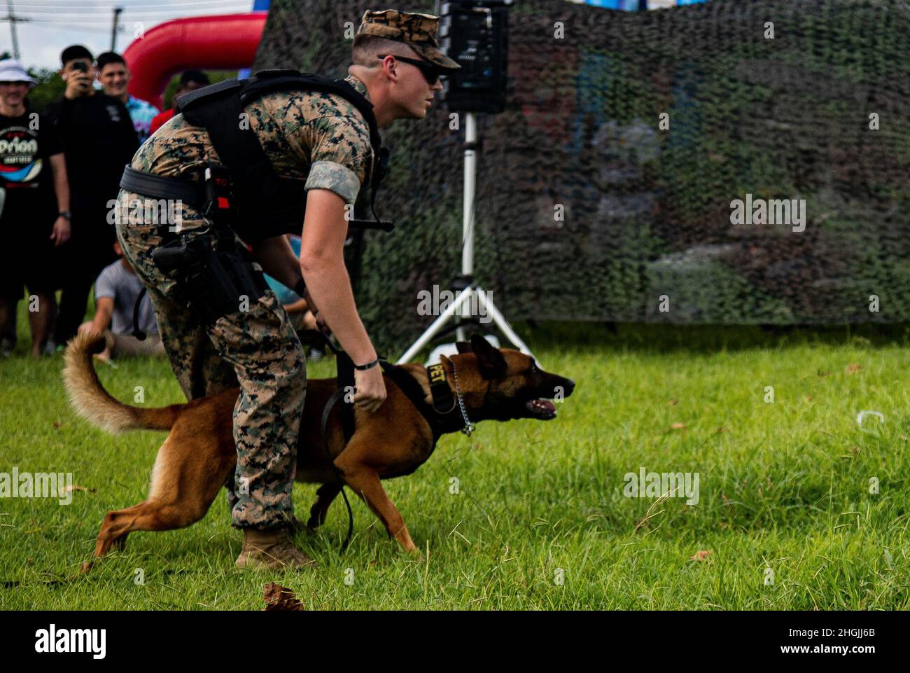 U.S. Marine Corps Cpl. Michael Phelan, a military working dog handler ...
