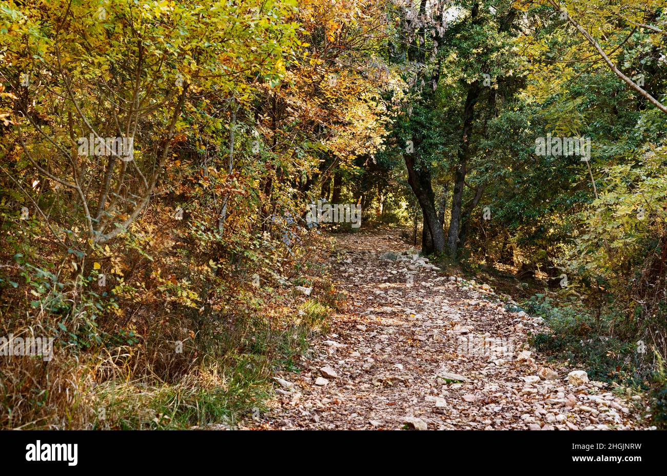 Monte subasio road hi-res stock photography and images - Alamy