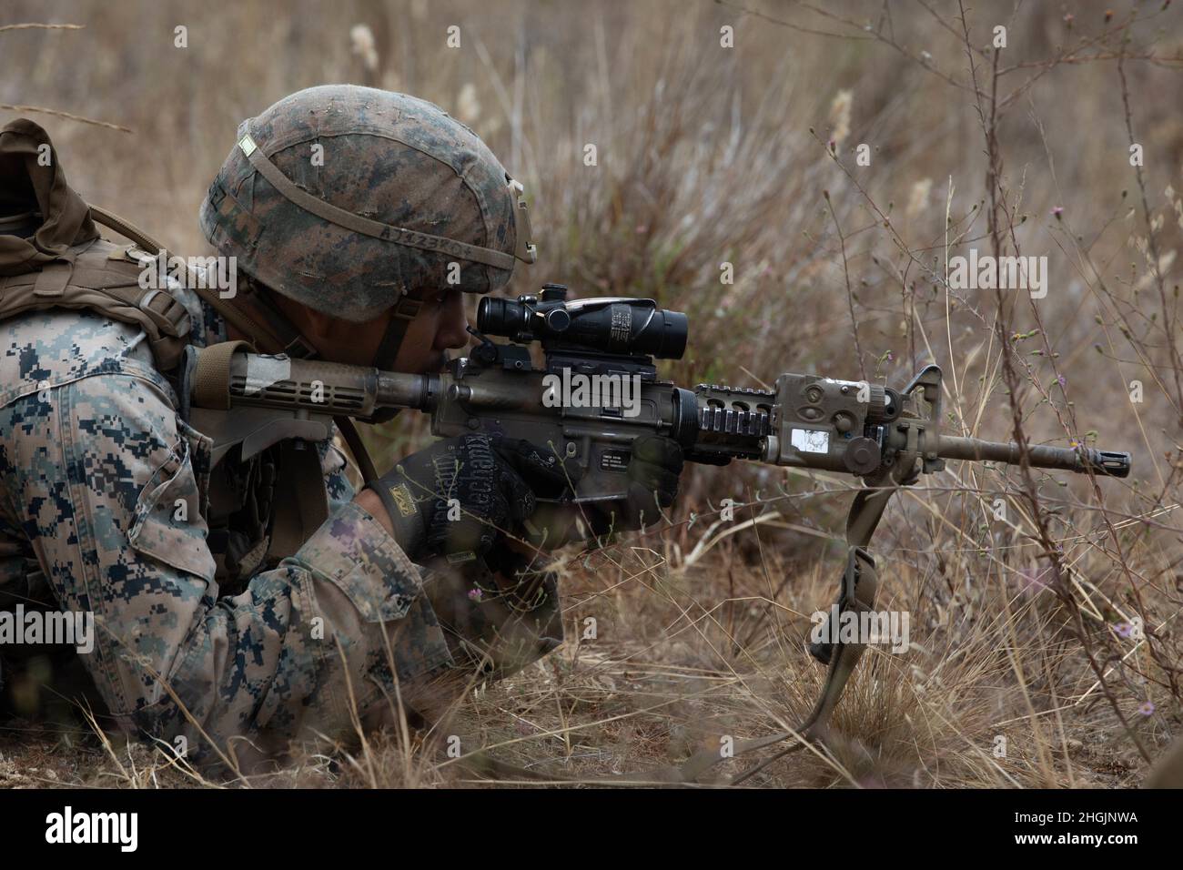 U.S. Marine Corps Lance Cpl. Oscar I. Jimenez, a rifleman with 3d Light ...