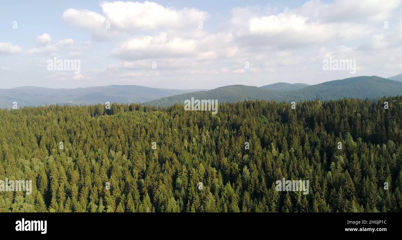 Blue Sky and Forest Drone Shot from Above. Beautiful Landscape View ...