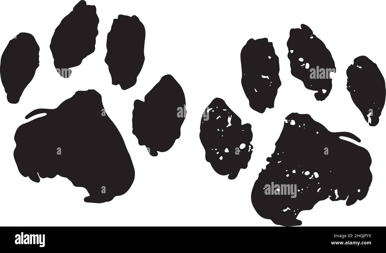 Animal footprints mud Stock Vector Images - Alamy