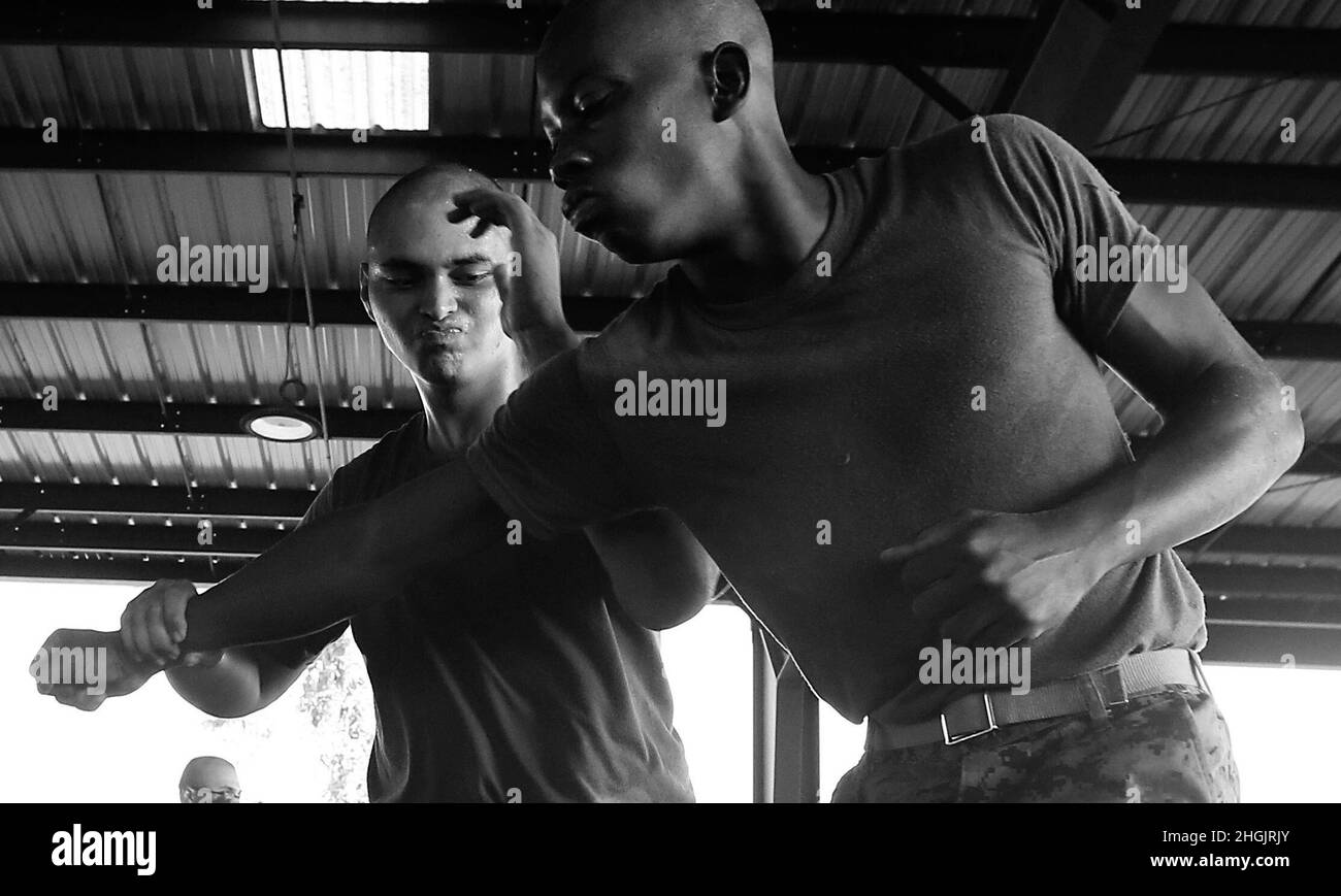 Recruits with Fox Company, 2nd Recruit Training Battalion complete ...