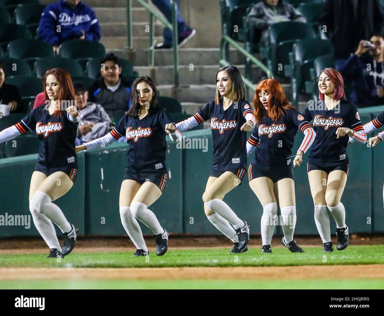 HitGirls, female cheerleaders Hit Girls, during the baseball series ...