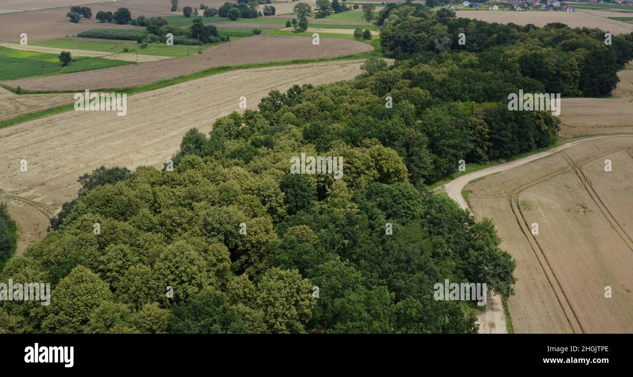 Aerial view of Farmland. Aerial View of Forest and Agriculture Fields ...
