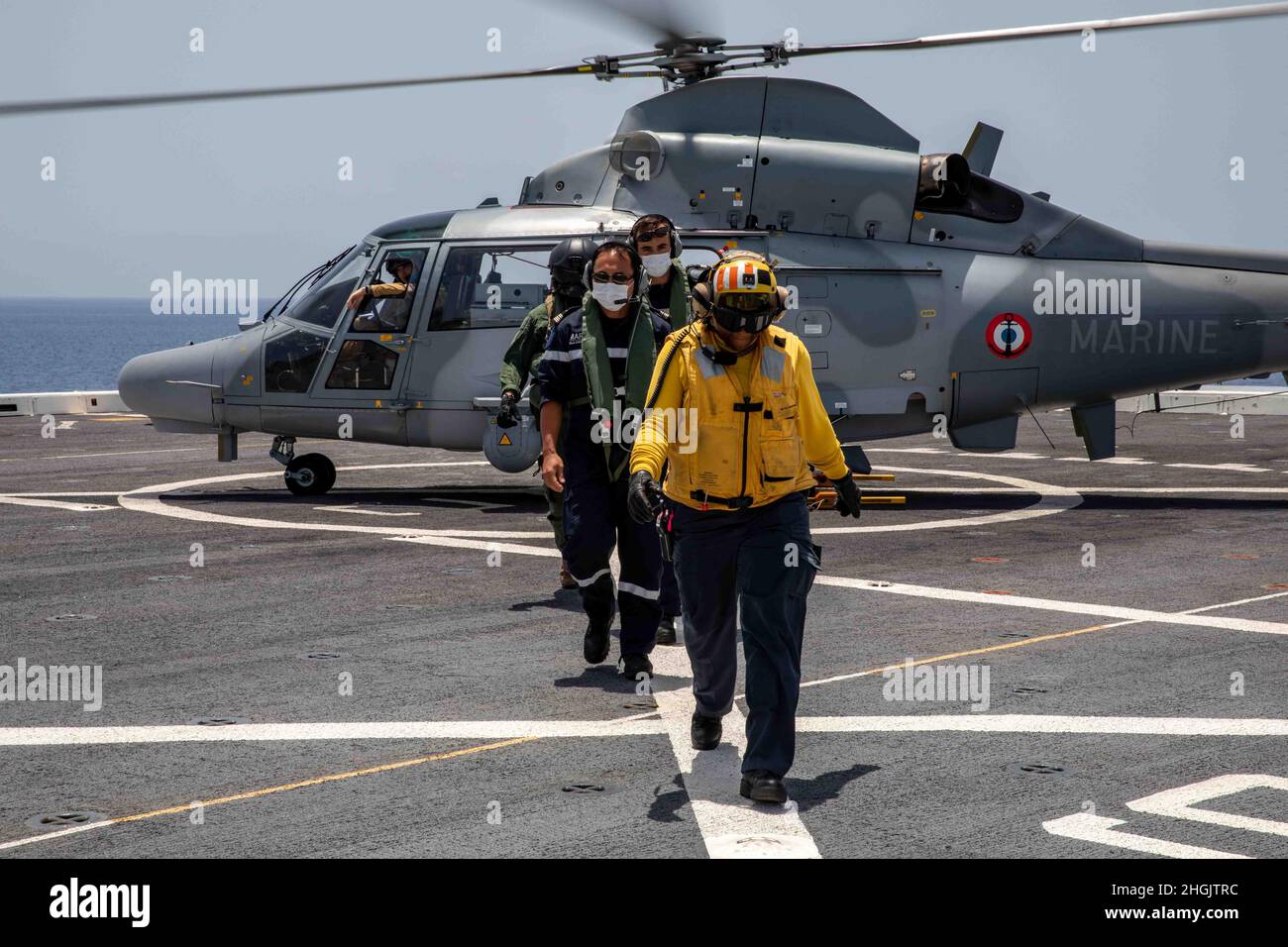 Fs germinal hi-res stock photography and images - Alamy