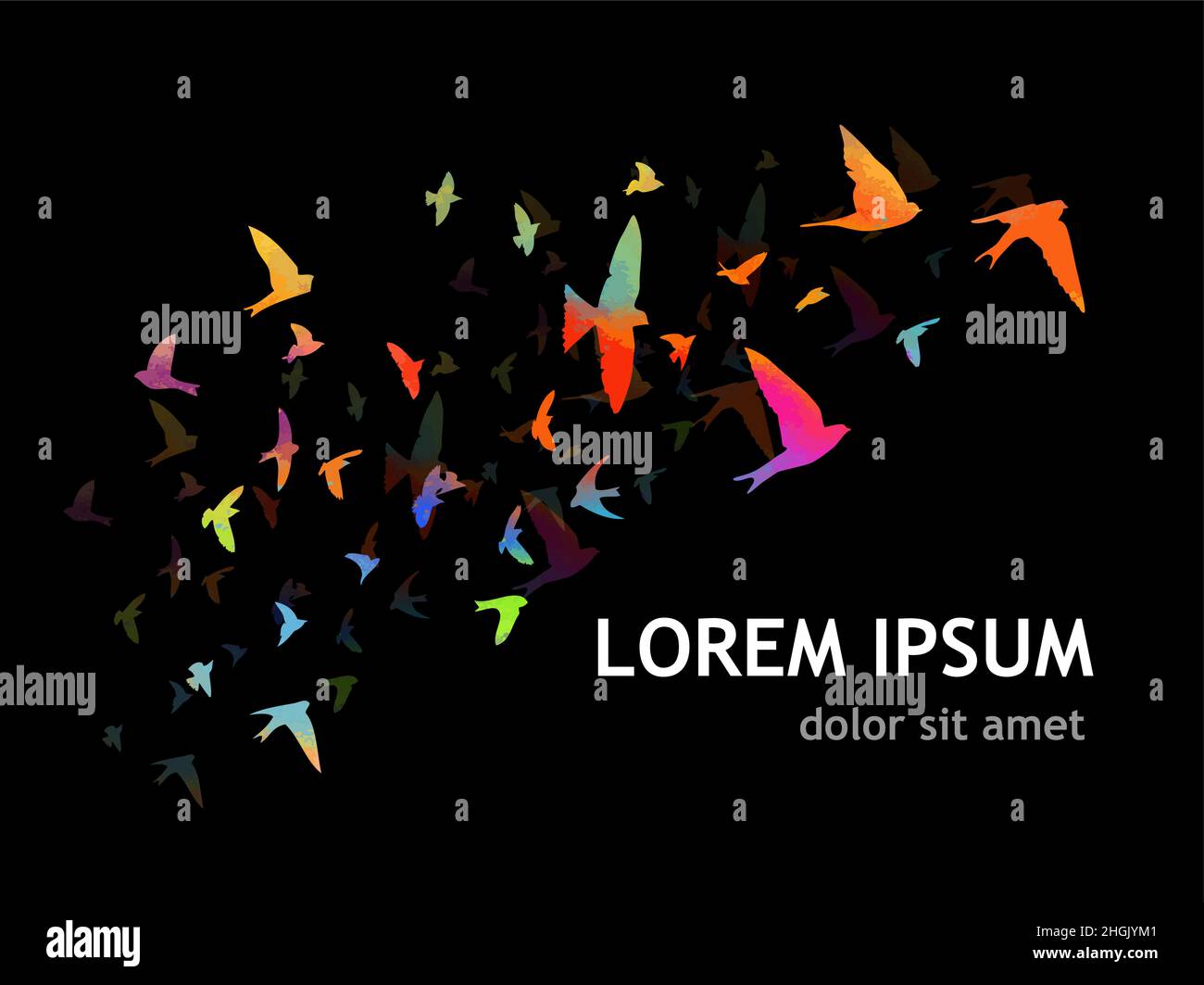 Multi-colored birds on a black background . A flock of flying rainbow ...