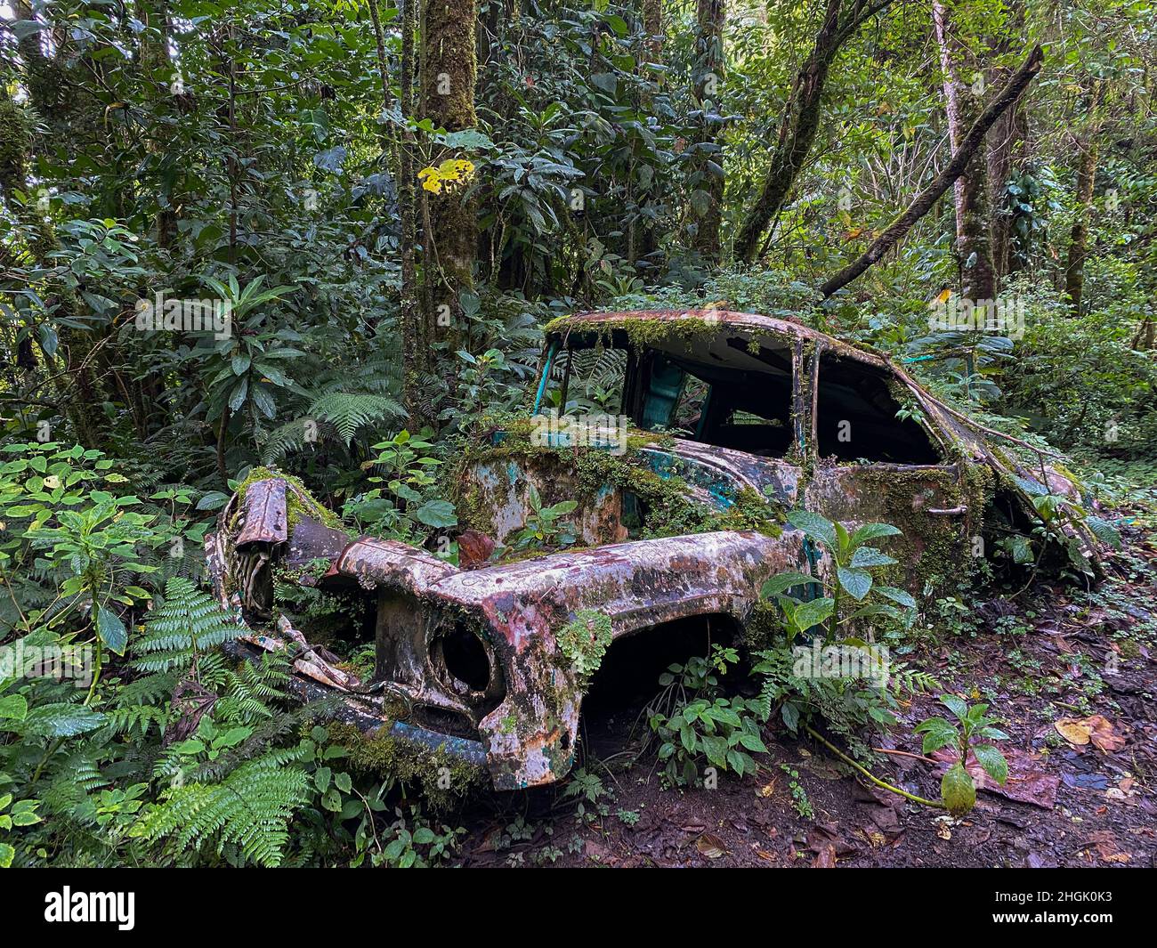 Rotten car in the deep jungle of Panama Stock Photo - Alamy