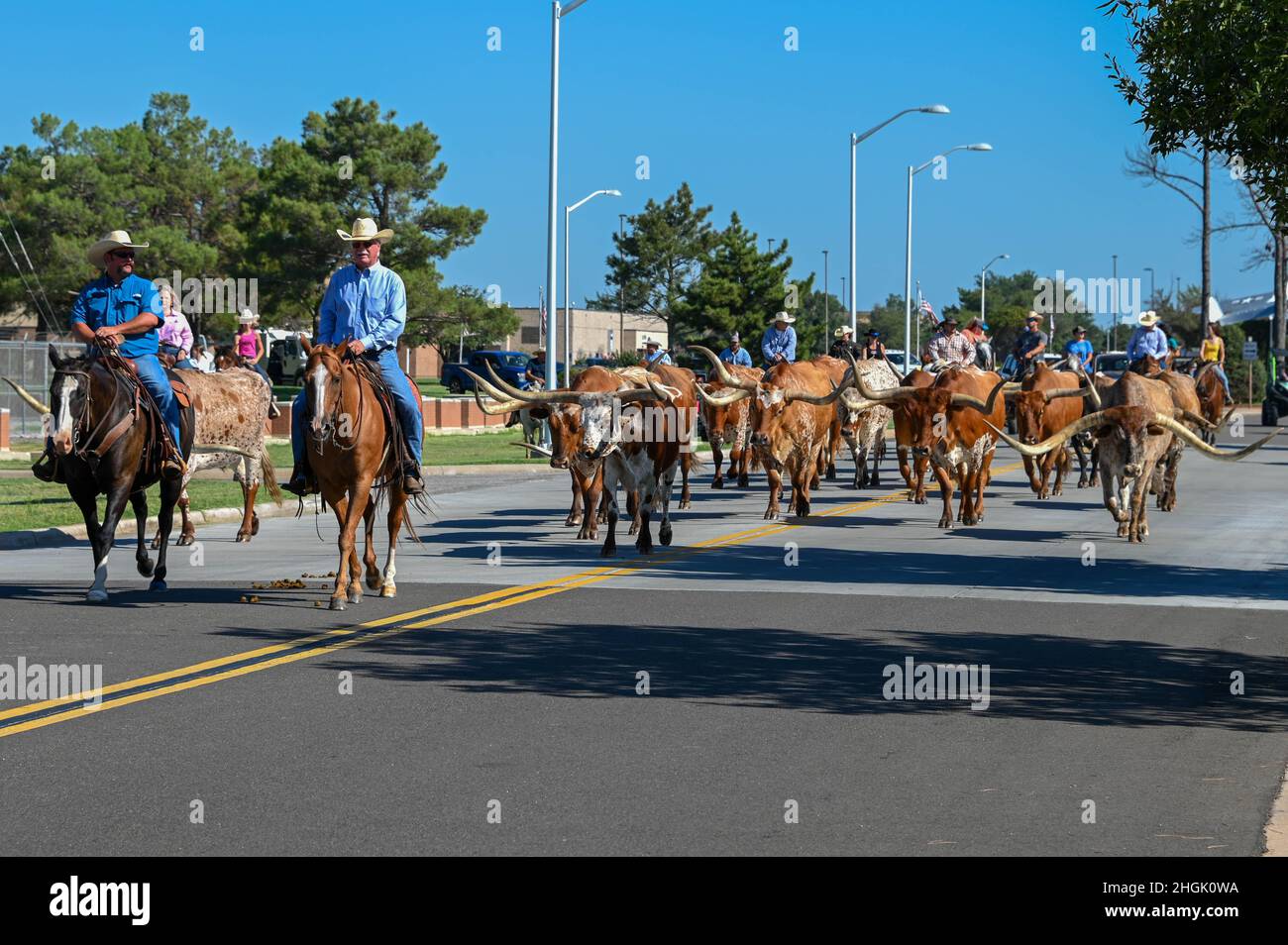 Two cowboys from the Great Plains Stampede Rodeo lead cattle during the ...