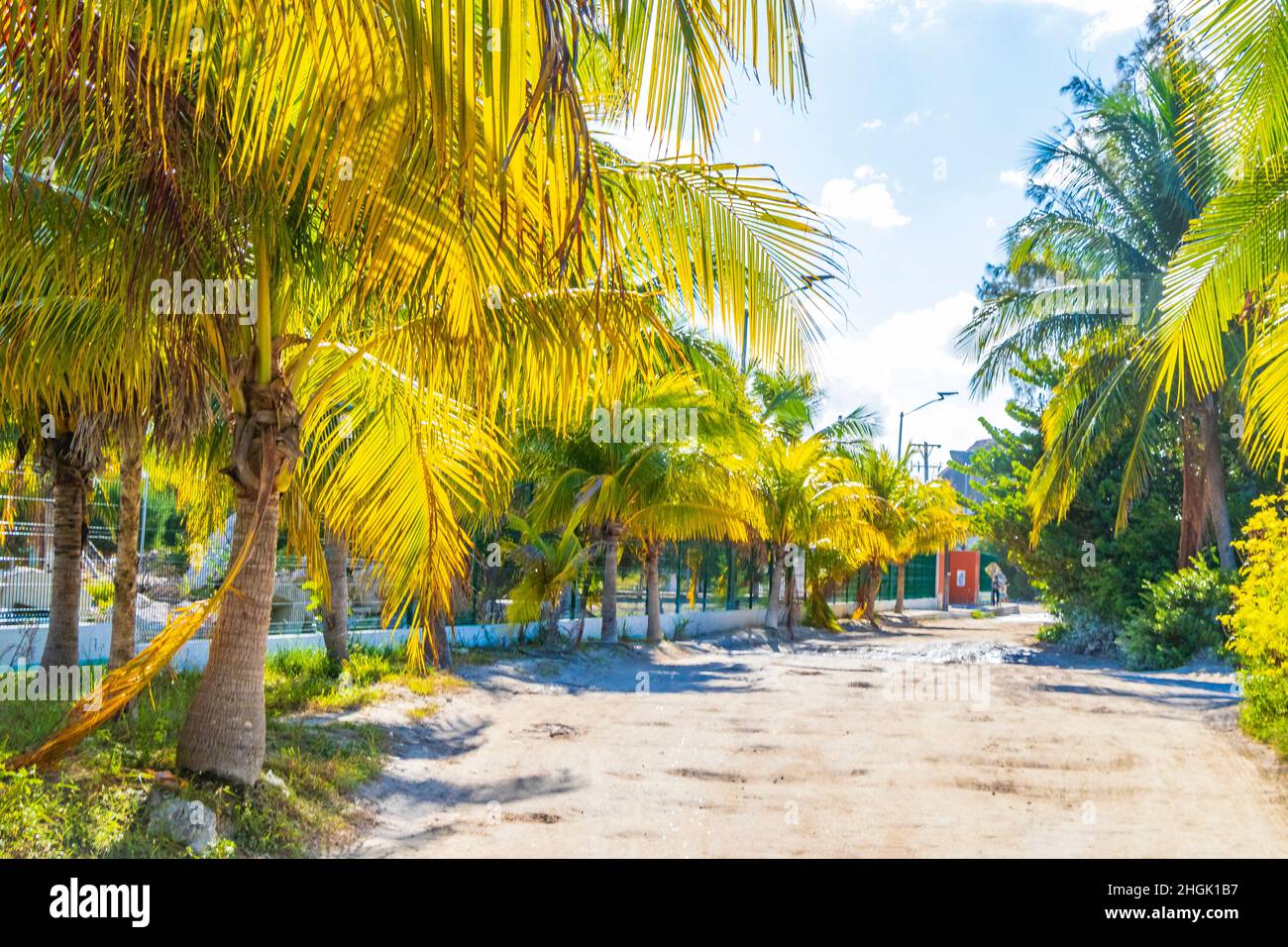 Sandy muddy road walking path and landscape view with tropical nature ...