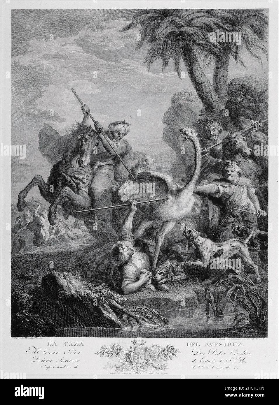 Ostrich hunting hi-res stock photography and images - Alamy