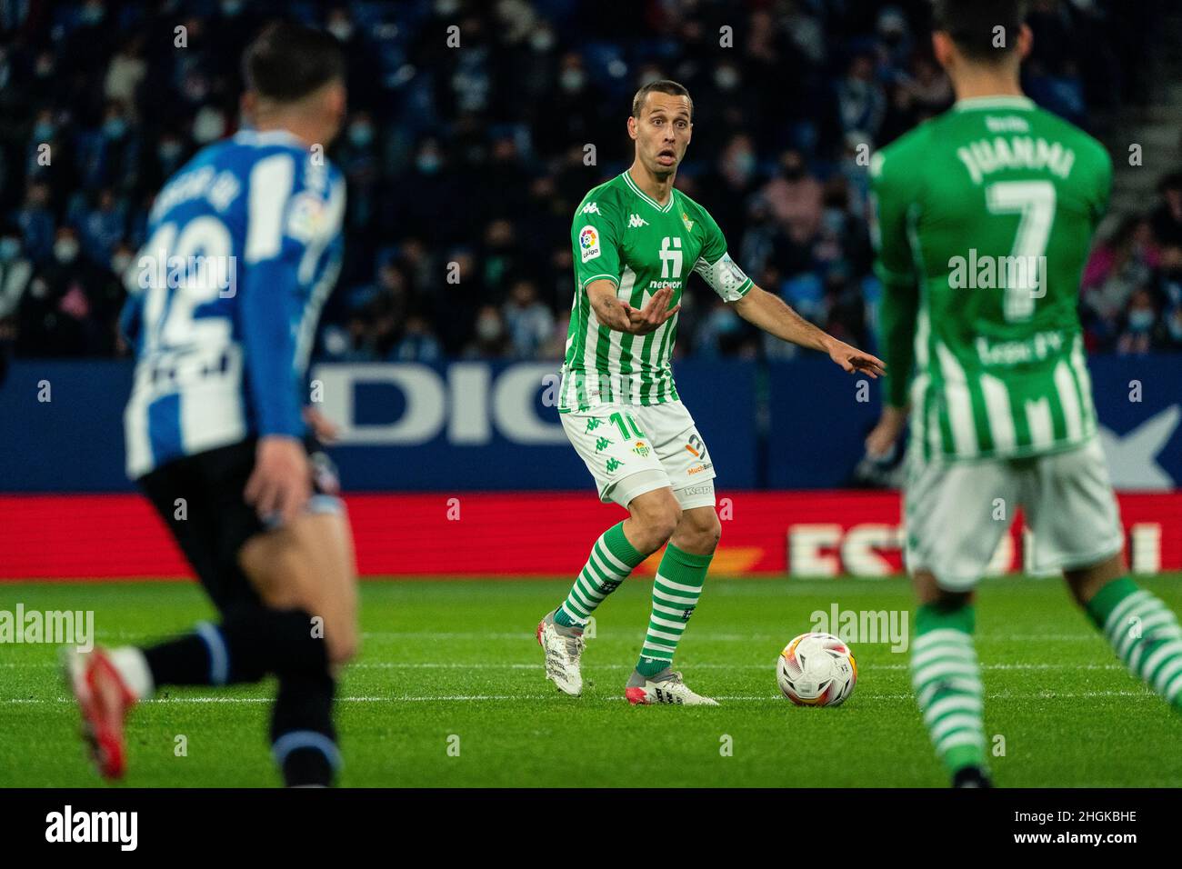 Canales real betis hi-res stock photography and images - Alamy