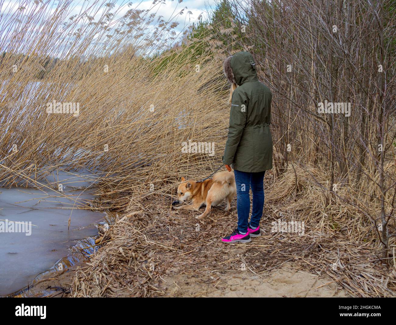 Big ginger hair do hi-res stock photography and images - Alamy