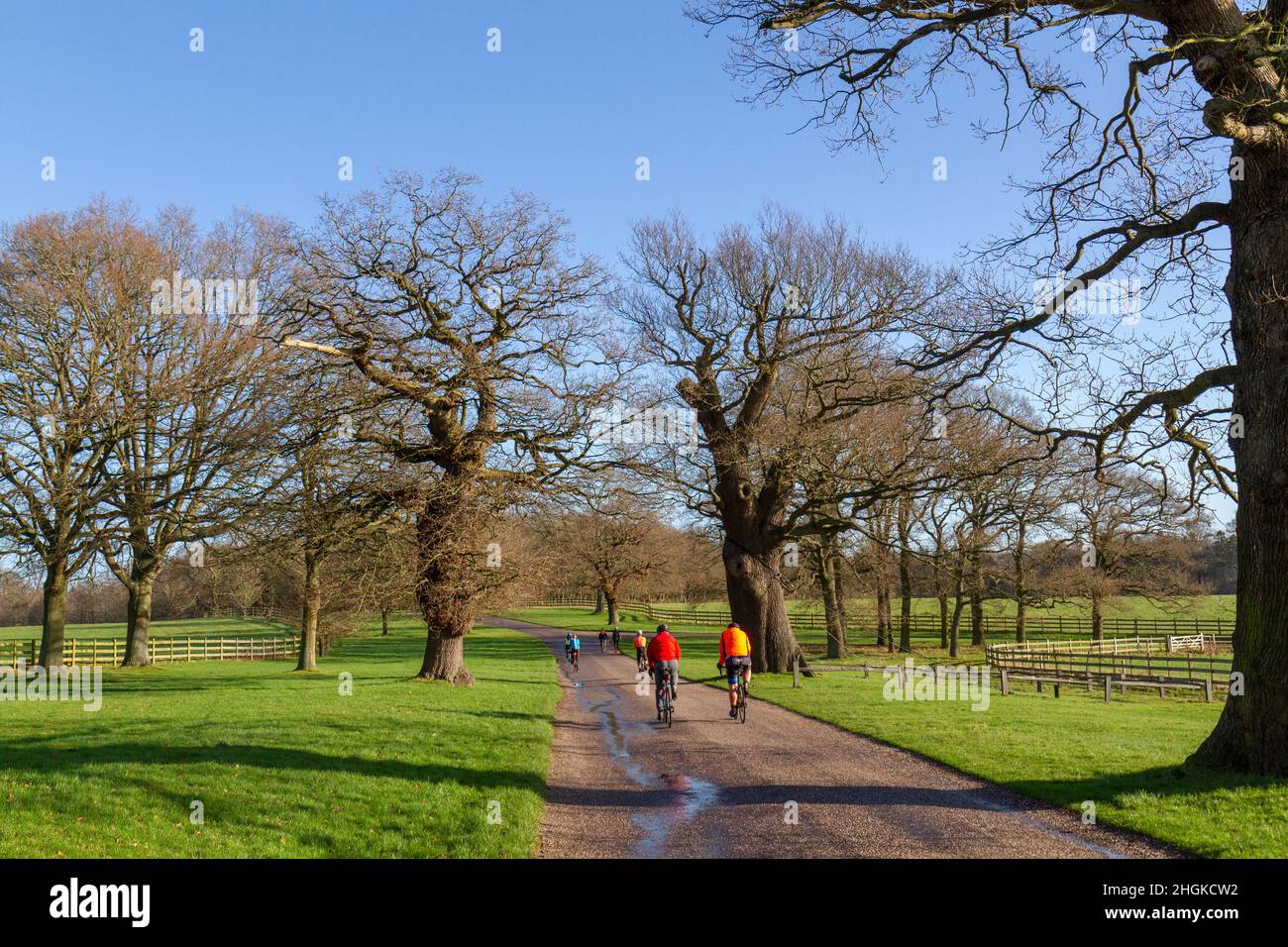 Windsor great park cycling hi-res stock photography and images - Alamy