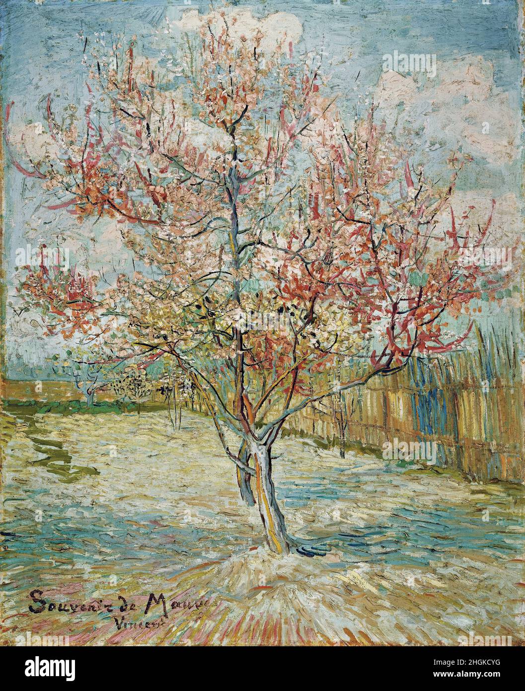Pink peach trees - 1888 - Oil on canvas no info - Van Gogh Vincent ...