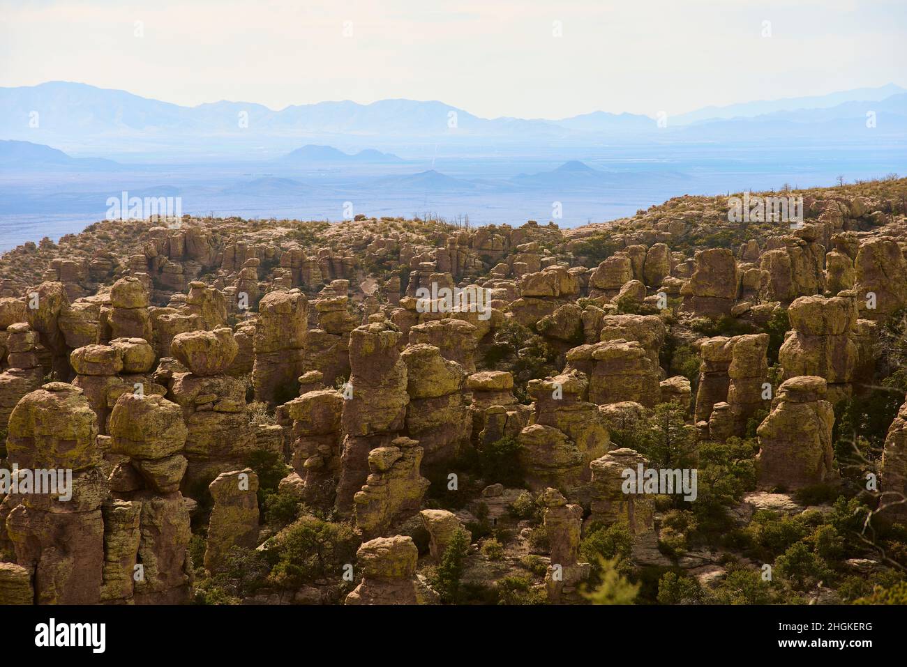 Tuff spring hi-res stock photography and images - Alamy