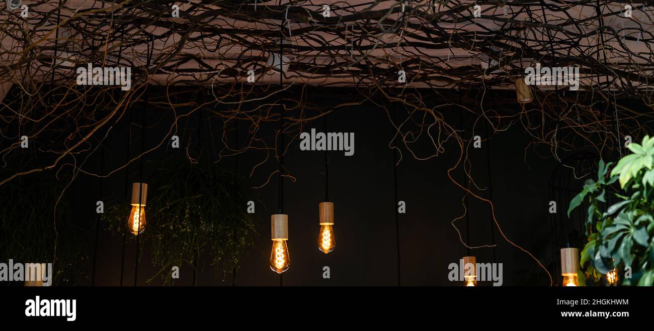 Light bulb with wooden minimal ceiling lamp design in warm green and ...