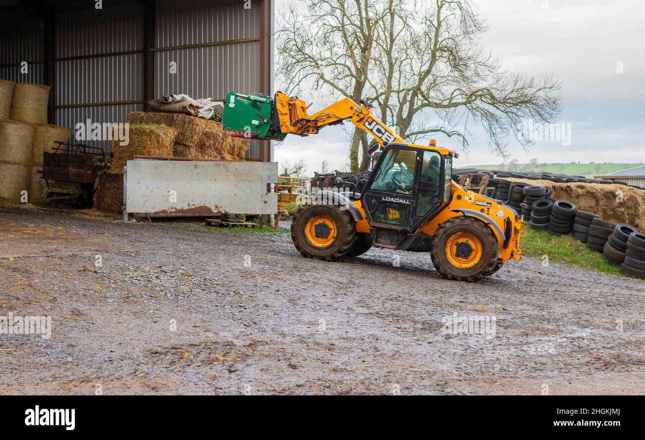 JCB telescopic handler or telehandler working in farm yard and barn in ...
