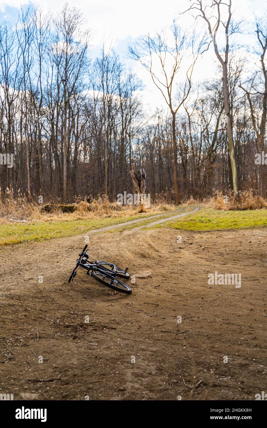 Black bicycle lying on the ground next to big forest and small path ...