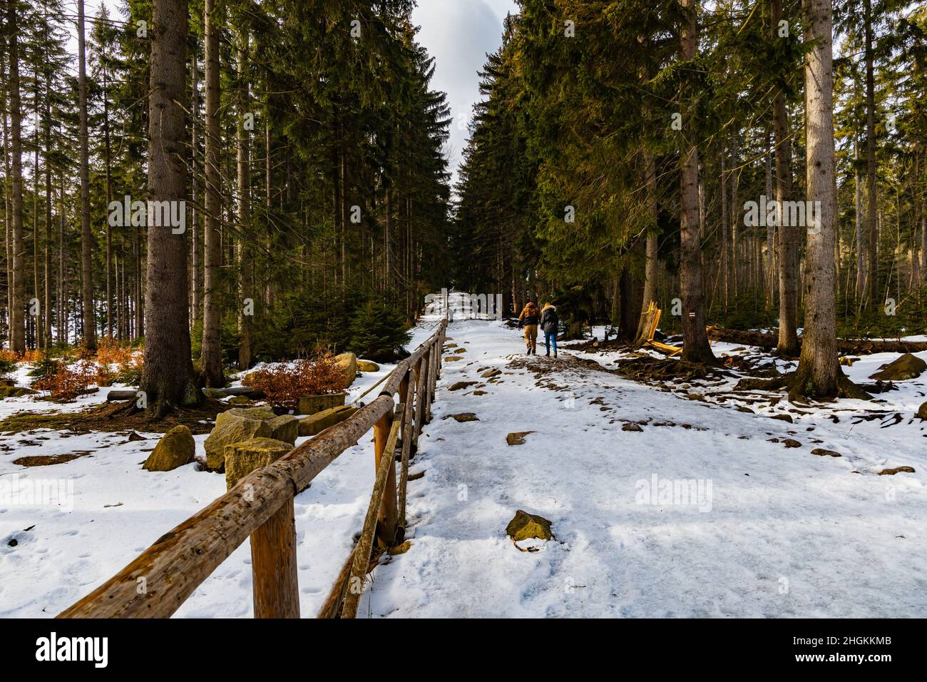 People walking through icy mountain trail next to wooden fence and high ...