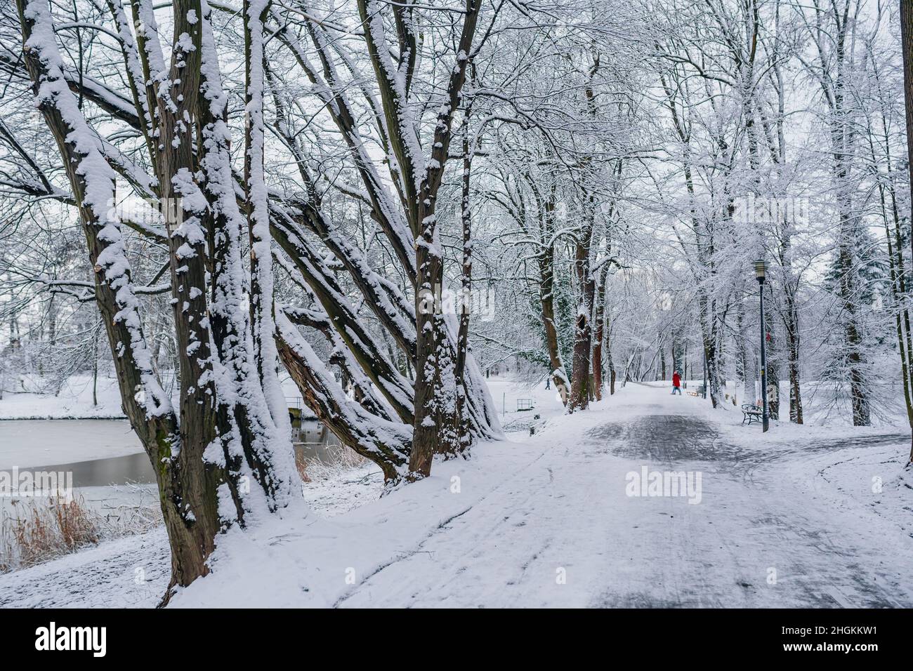 Winter Alley Covered with Cnow in Park Outdoors Stock Photo - Alamy
